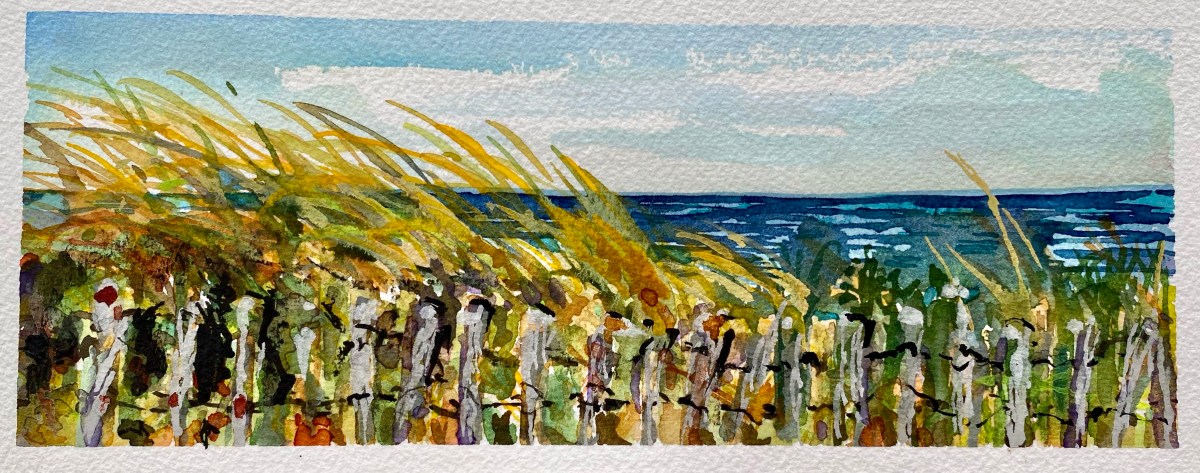 Art | Sarah Connell Campbell