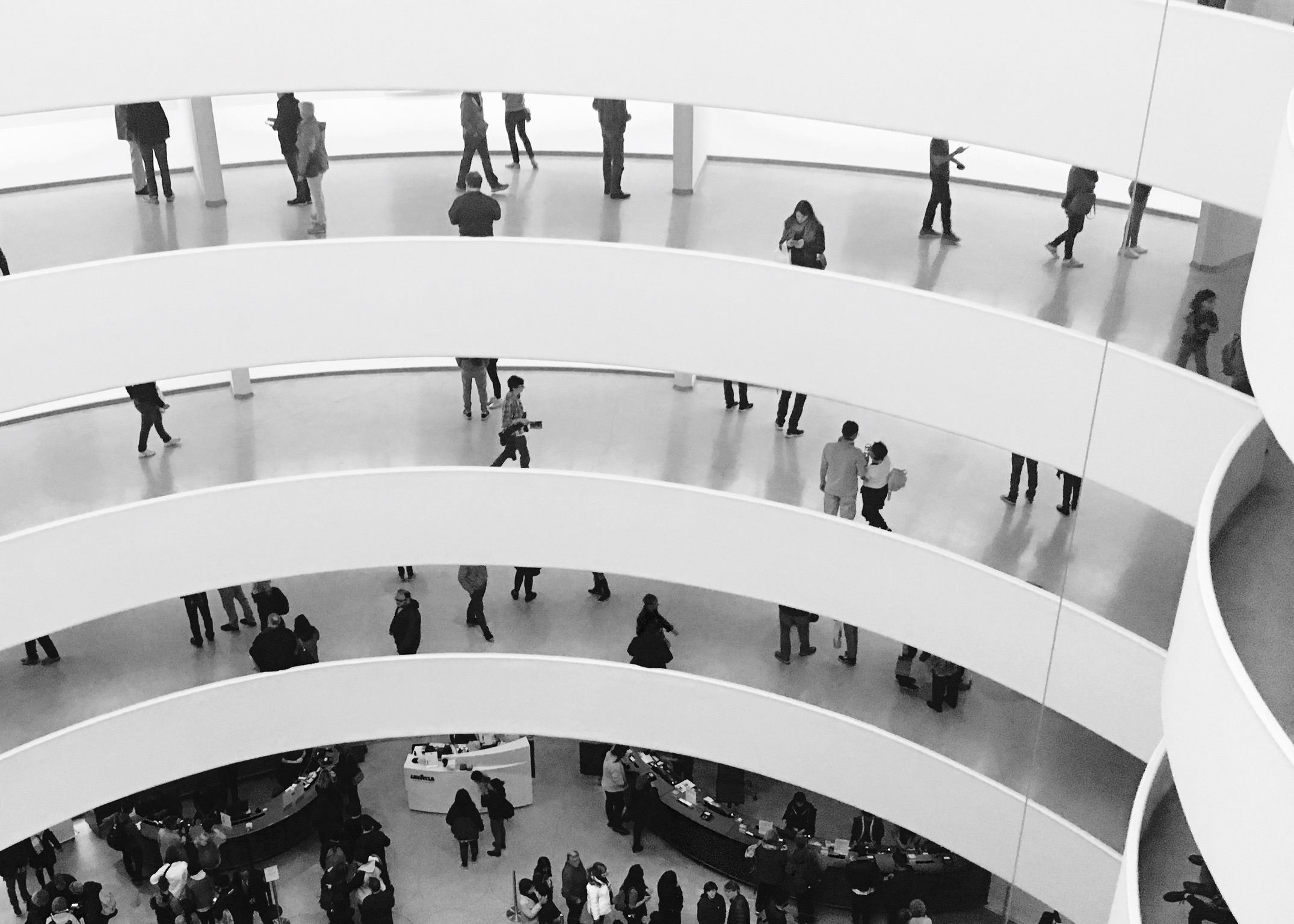 Sarah T Campbell | Sarah Connell Campbell